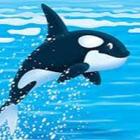 Convert BTC to USD with our Bitcoin Calculator | Noones